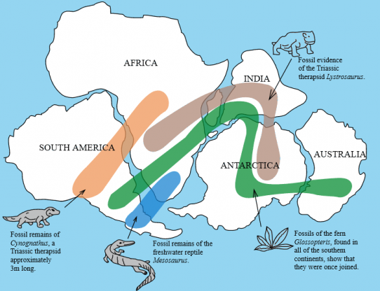 Interactive map of Pangea / Pangaea with borders and a 3D globe